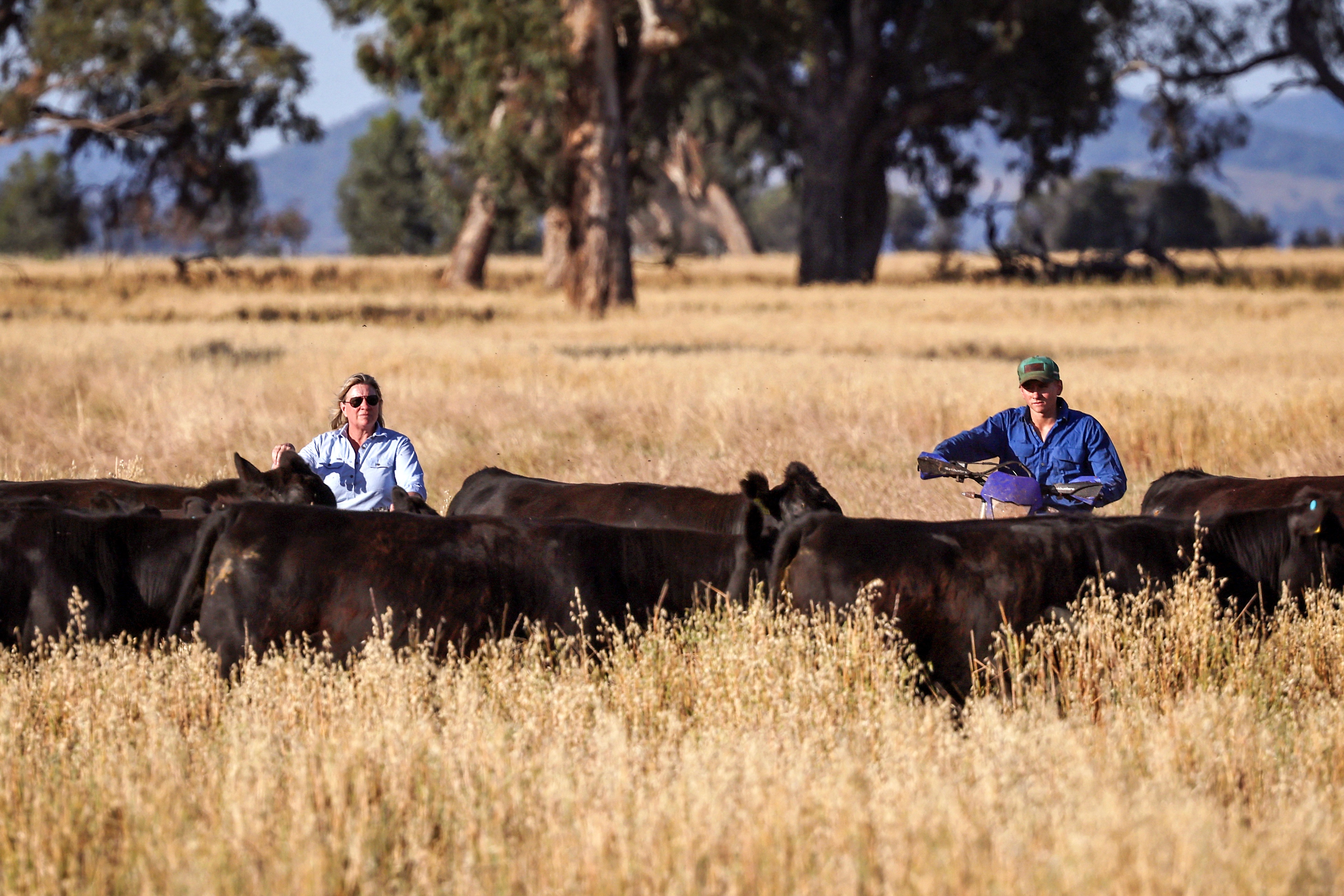 The global reaction to Trump’s tariffs, in 10 candid quotes