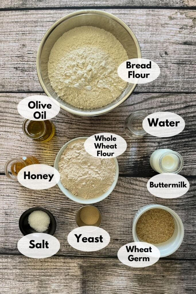 Frugal Homemade Whole Wheat Bread