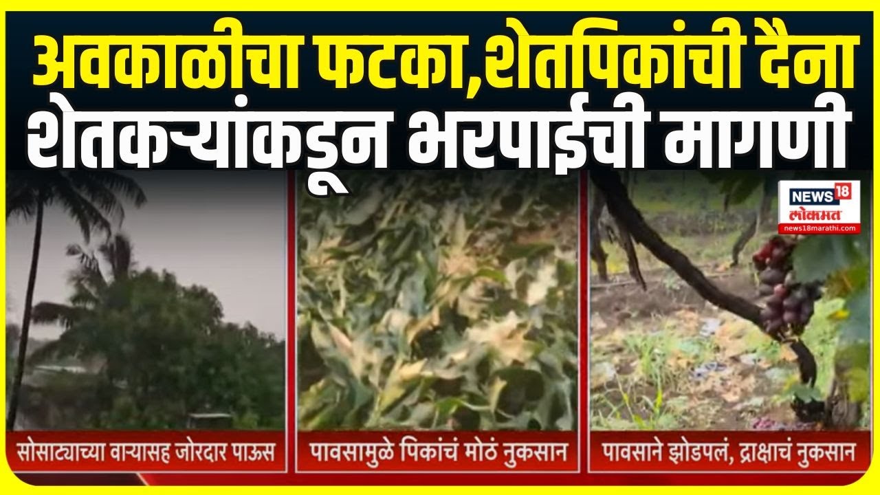 Satara Unseasonal Rain Effect: वादळी वाऱ्यासह राज्यात अनेक ठिकाणी पावसाची हजेरी Avkali Paus