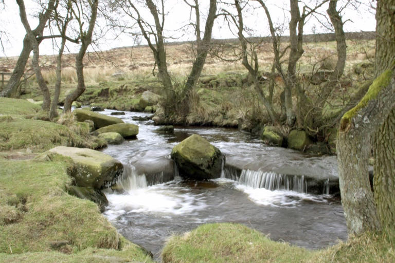 Explore Sheffield on a budget: Half term days out for less than £5 ...