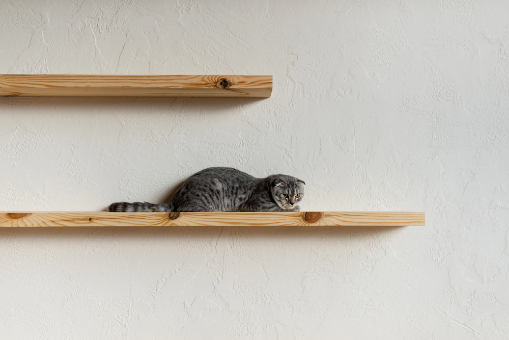 16 DIY Ladder Shelves for Tight Corners