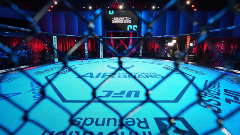 UFC officially introduces eight fighters and removes four