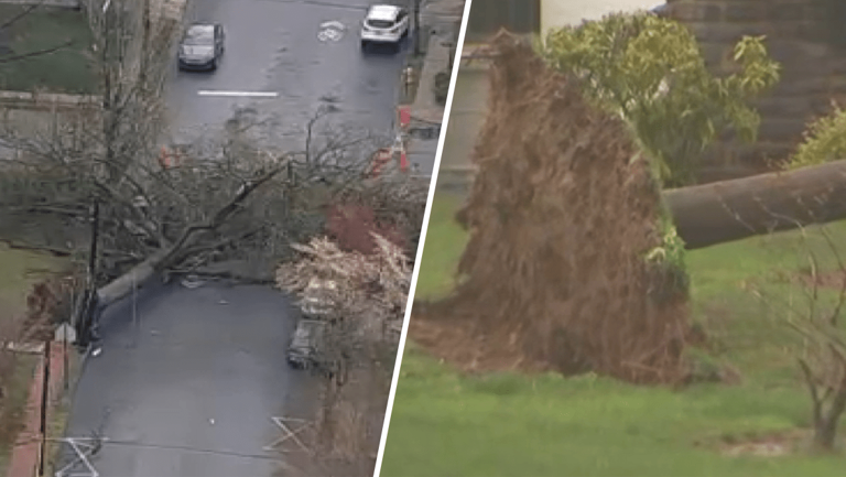 Storms uproot trees, knock out power in Pa., NJ; force Delco schools to close