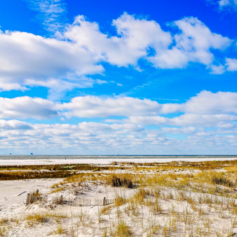 Move Over Gulf Shores! Visit Alabama's Secret White-Sand Island To ...