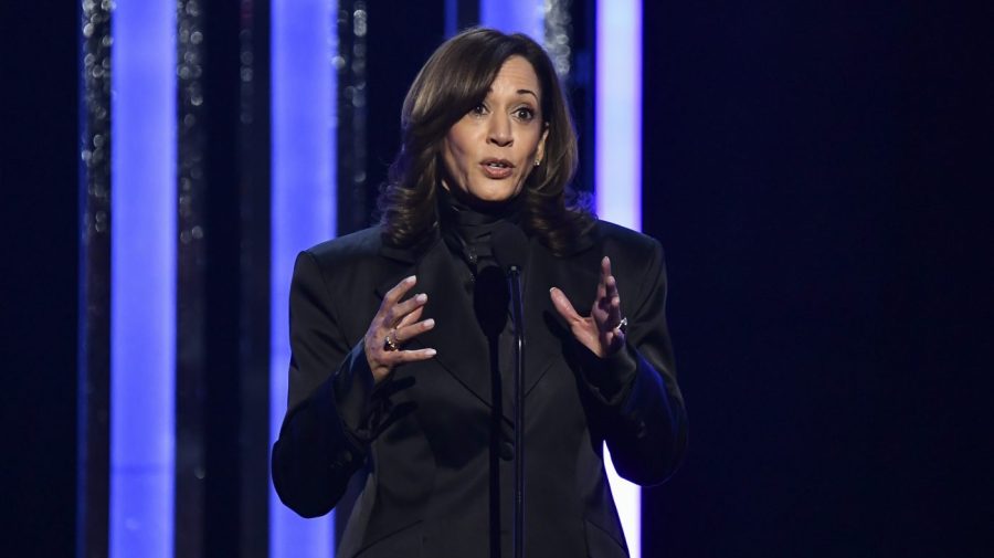 ‘No good answer’ on next Democratic leader: Schoen