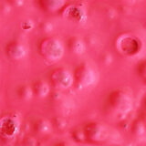 The Mystery of the Pink Slime: Fast Food and the Controversy Surrounding It