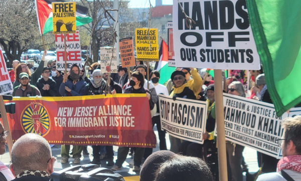 How Immigrant Rights Activists Are Fighting Attacks on the Palestine ...