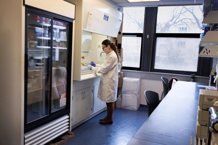 Democratic AGs sue RFK Jr. over canceled health research