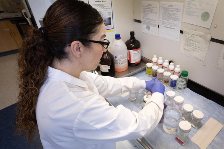 Democratic AGs sue RFK Jr. over canceled health research