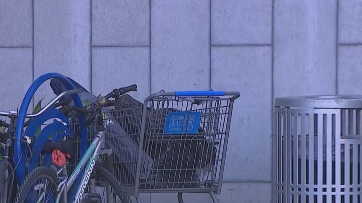 Police replace security guards at National City library in new pilot ...