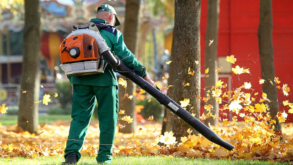 Residential Gas Leaf Blower Ban Hits Annapolis
