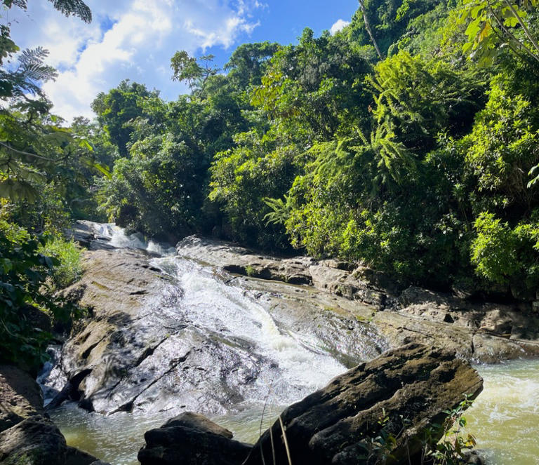 The 15 Best Things To Do in El Yunque National Forest
