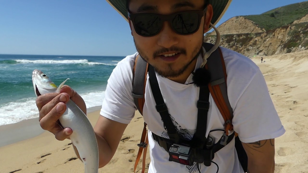 EASY and DELICIOUS Catch and Cook You Can Try!! JACKSMELT