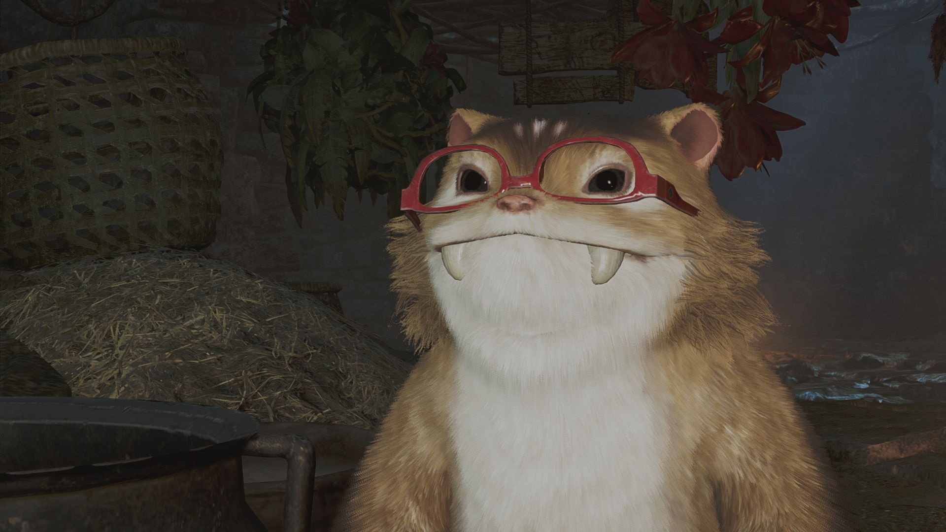 Where to find sleeping Ayejack in Monster Hunter Wilds