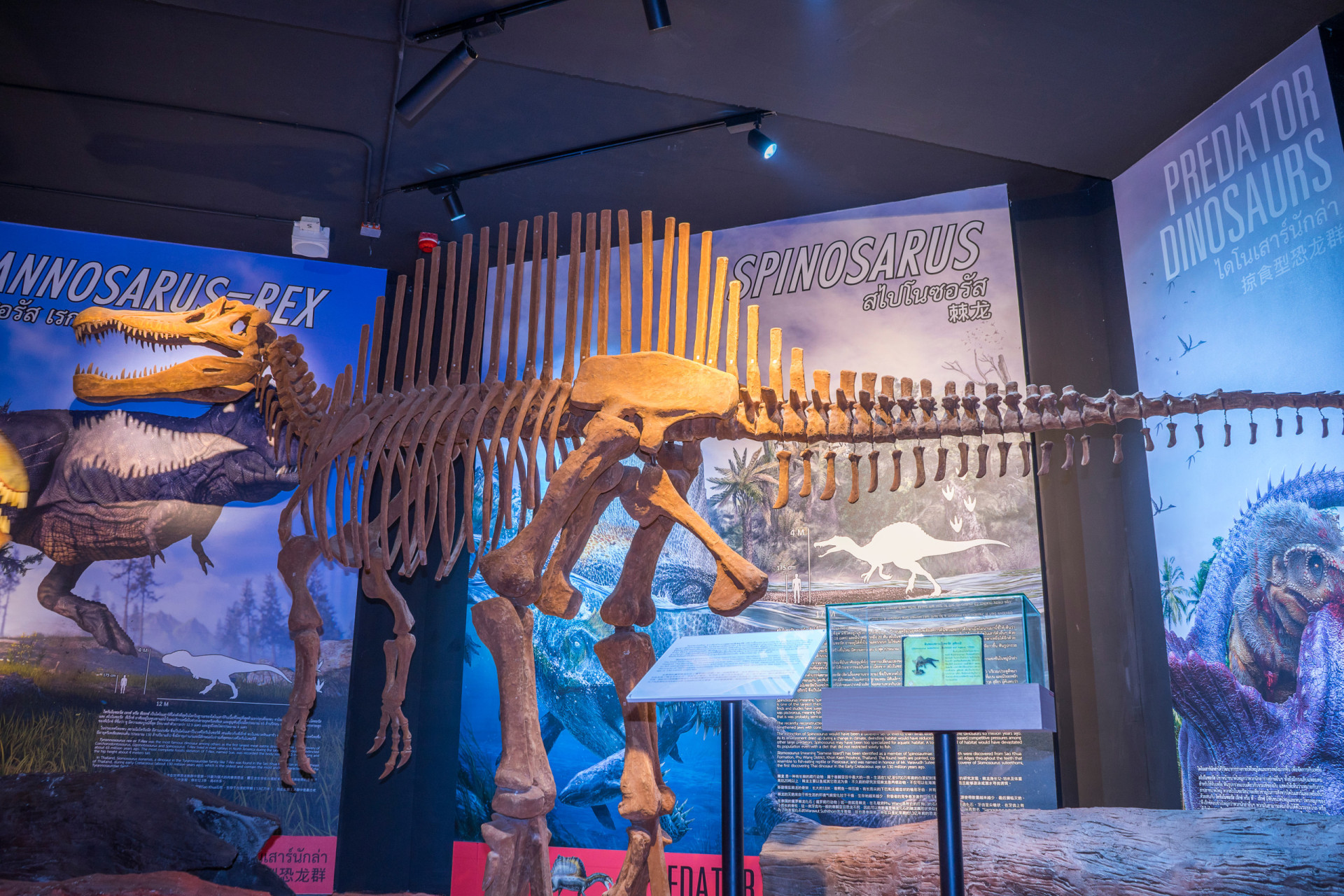 The most dangerous dinosaurs that once ruled the world