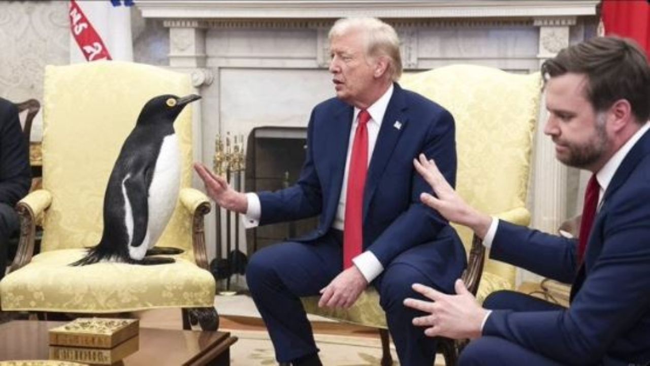 Penguin memes flood internet after Trump tariffs hit uninhabited ...