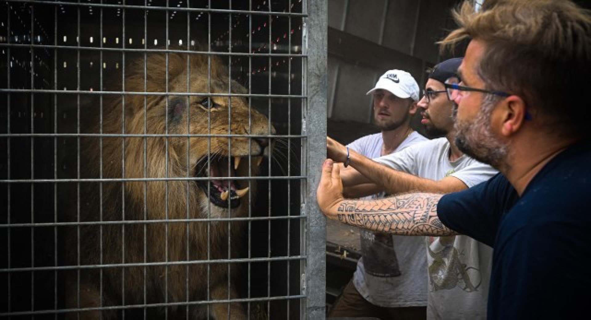 How zoos protect animals in a hurricane