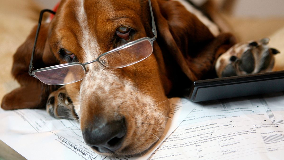 Yes, the IRS allows tax deductions on some pet expenses, like service ...