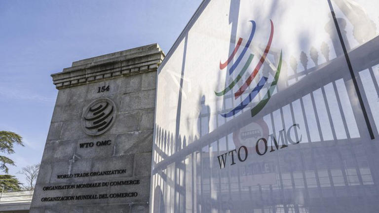 Droits de douane : l'OMC prévoit une baisse de 1,5 % du commerce