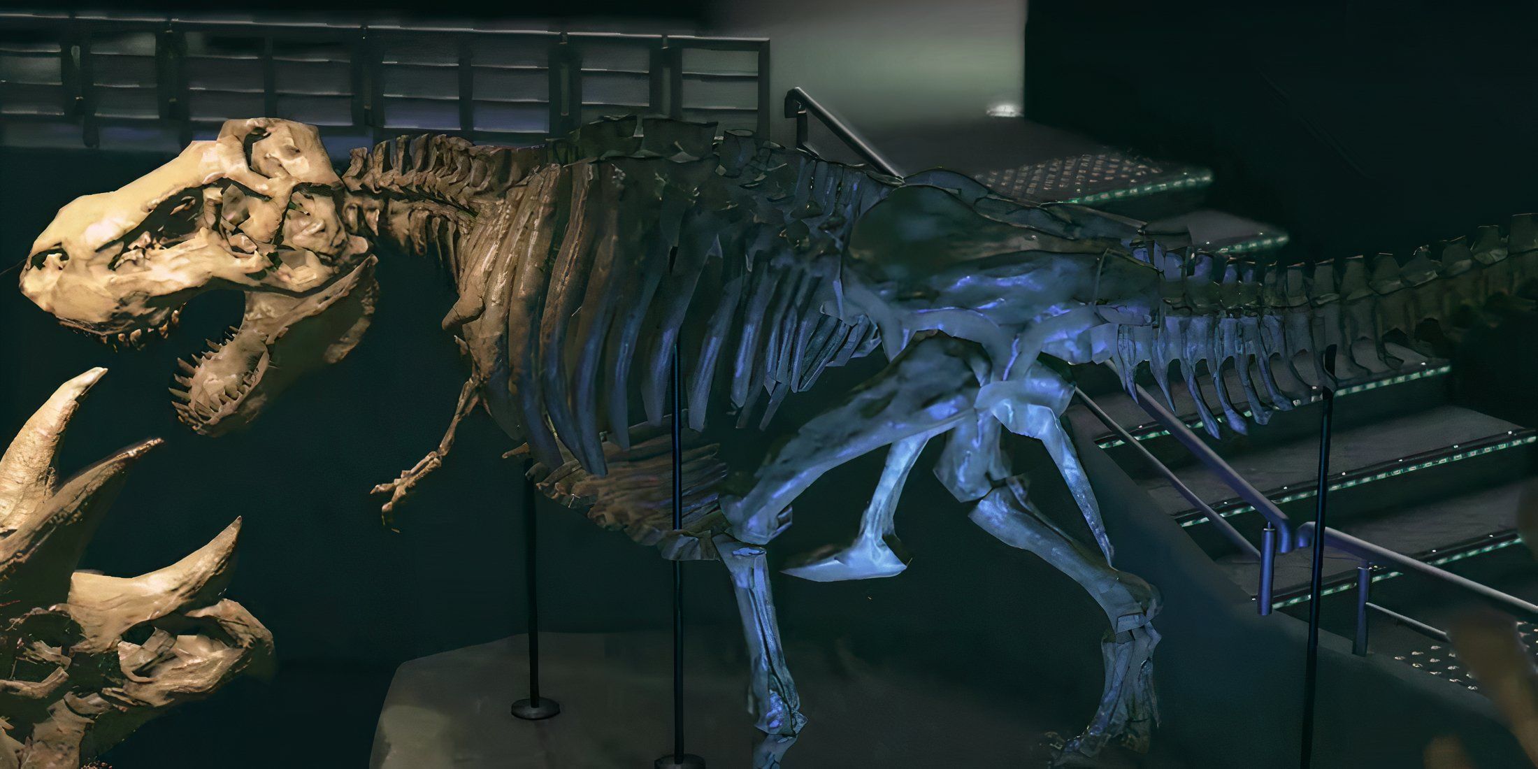 Animal Crossing: New Horizons Player Finds Hilarious Spot for T-Rex Fossil