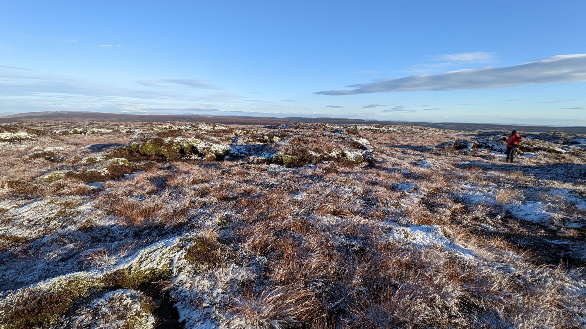 Ban the burn: Protect all peat!