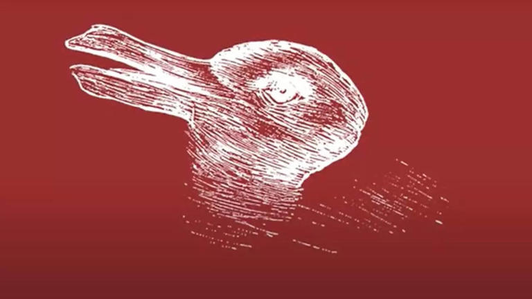 Optical illusion personality test: Duck or rabbit? The animal you spot ...