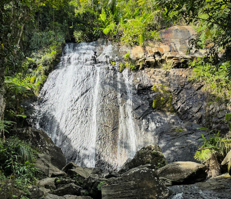 The 15 Best Things To Do in El Yunque National Forest