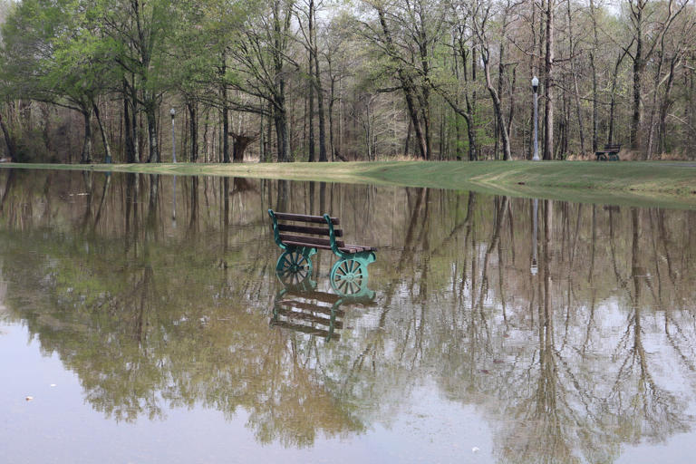 Wolf River flooding into Collierville park