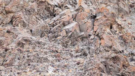 Optical illusion: Prove you're internet’s sharpest observer by spotting ...