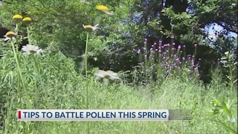 Allergy nightmare: Georgia sees record breaking pollen counts