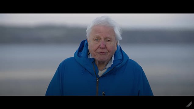 Sir David Attenborough reflects on 99 years in trailer for ocean ...