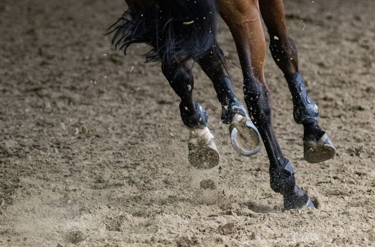 Dallas' Jo Ellard Joins Texas Cowboy Hall of Fame