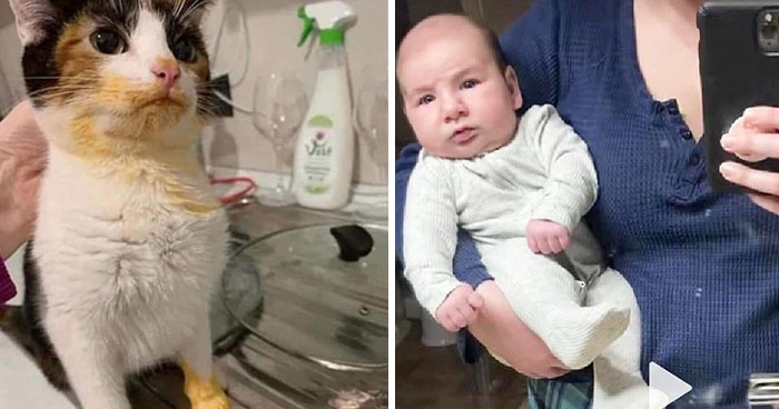 45 Funny “Uncomfortable Memes” To Make You Laugh, As Shared On This ...