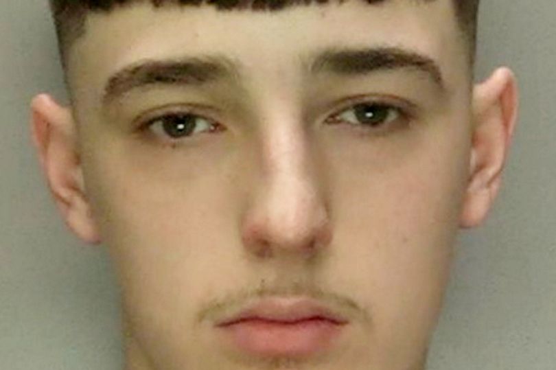 'Dobby the drug lord' jailed after flogging cocaine wearing Harry ...