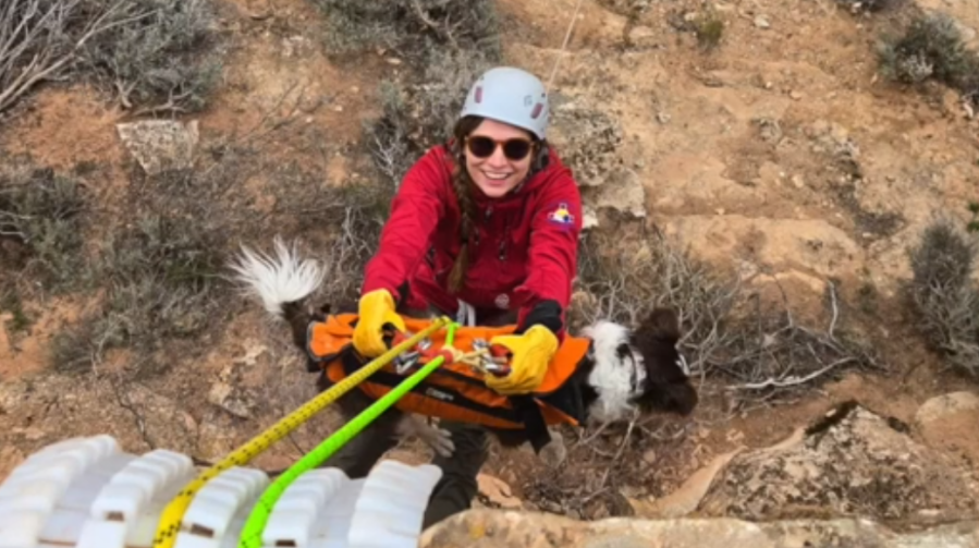 Dog rescued after 100-foot drop into Colorado canyon
