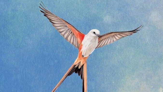 Board game publishers lament the devastating impact of new US tariffs ...