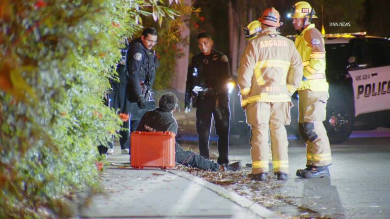 1 killed in fatal car crash in Arcadia