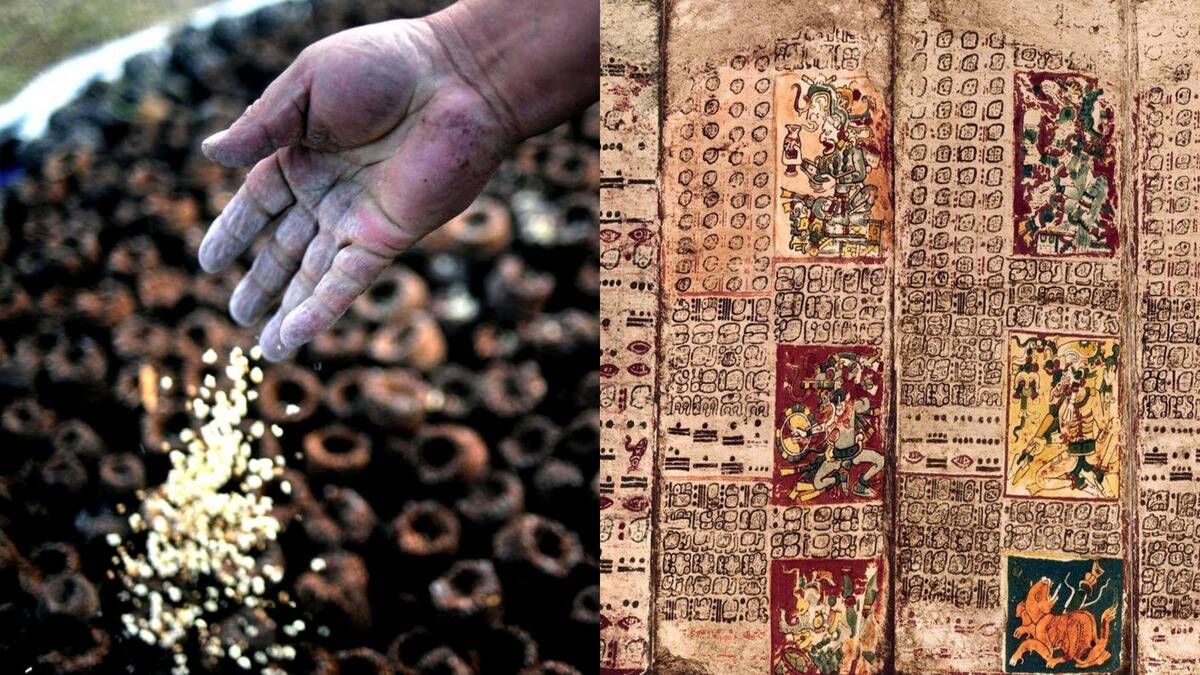 38 Fascinating Facts About The Mayans