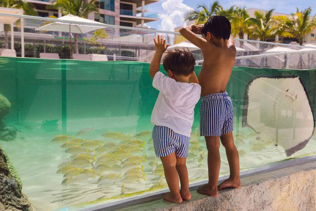 The 12 Best Things To Do In Longboat Key, Florida