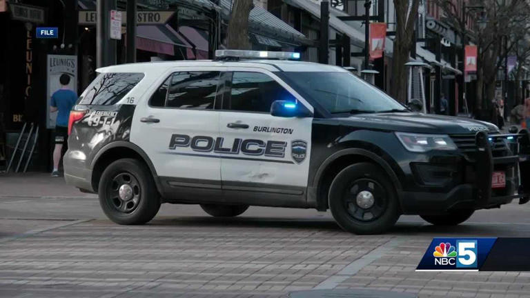 Incidents involving use of force rise in Burlington, police report shows