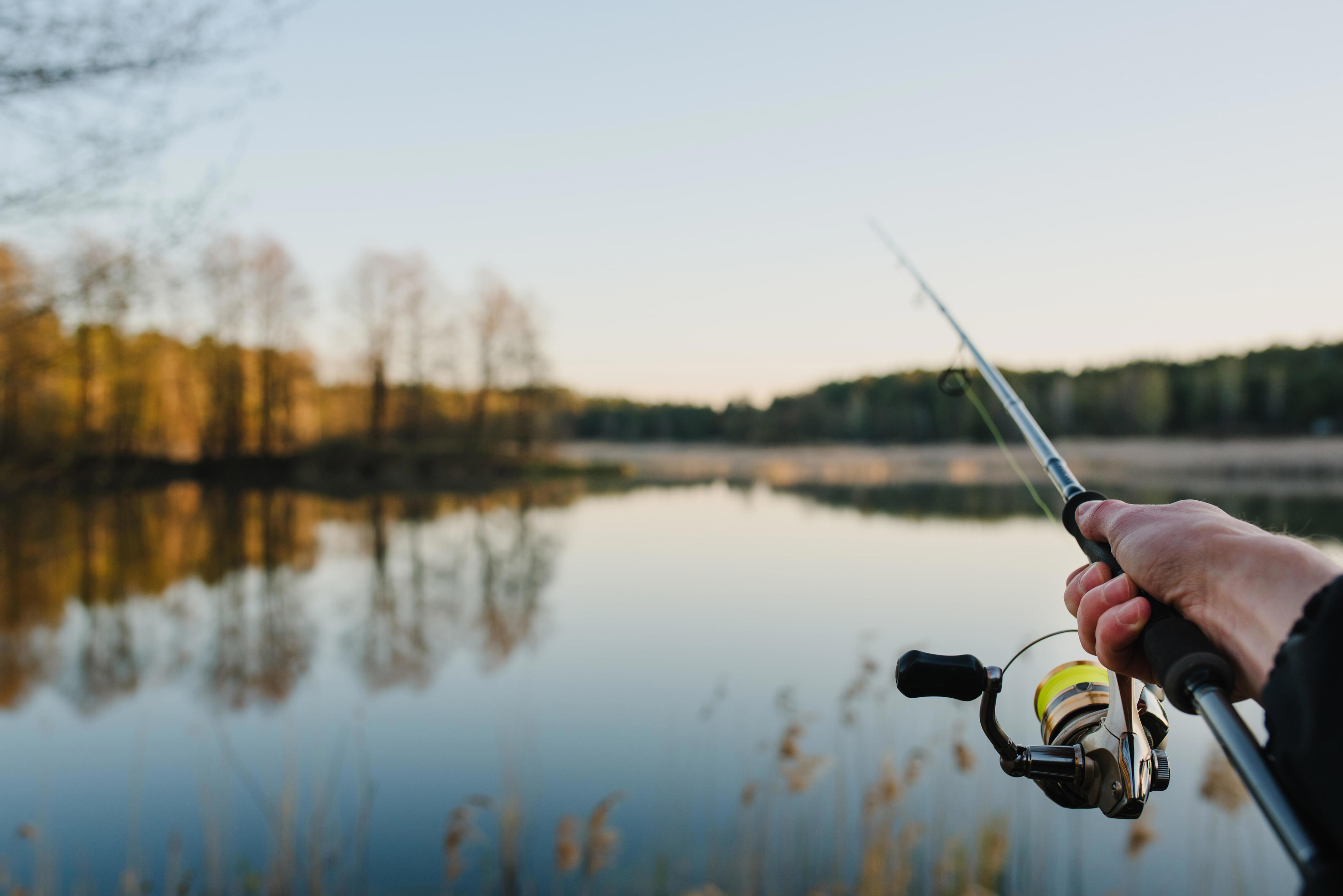 Free Freshwater Fishing In Florida This Weekend!