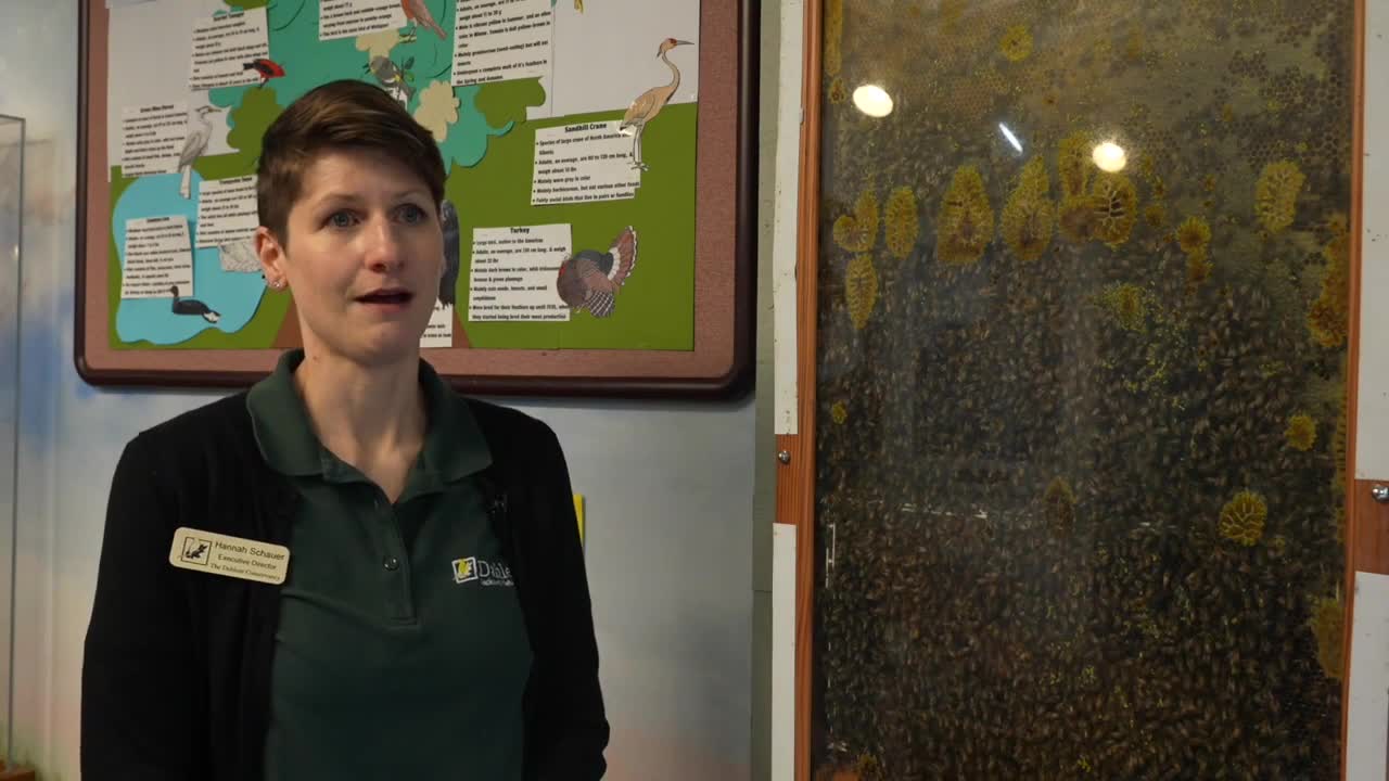 Learn more about the Dahlem Conservancy