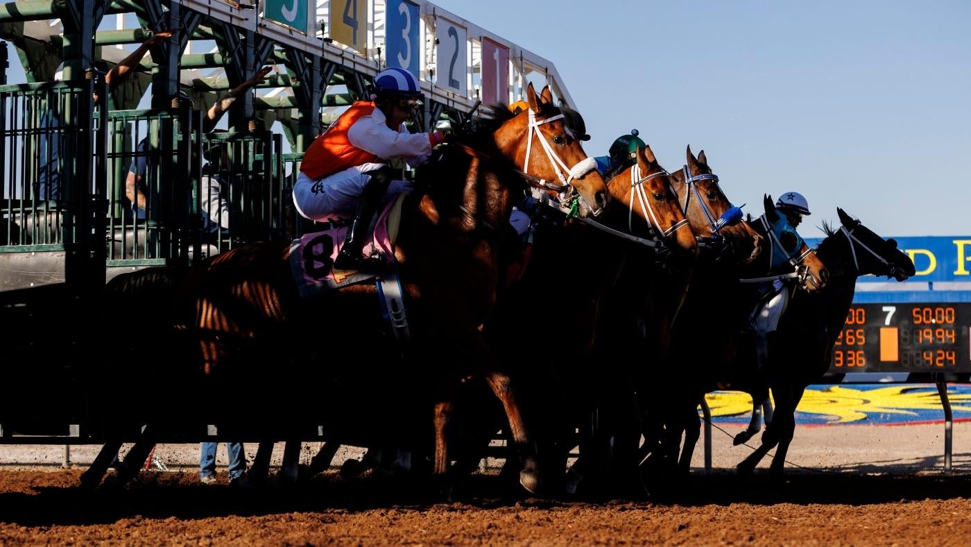 Final Gambit profile: 2025 Kentucky Derby odds, post position, history ...