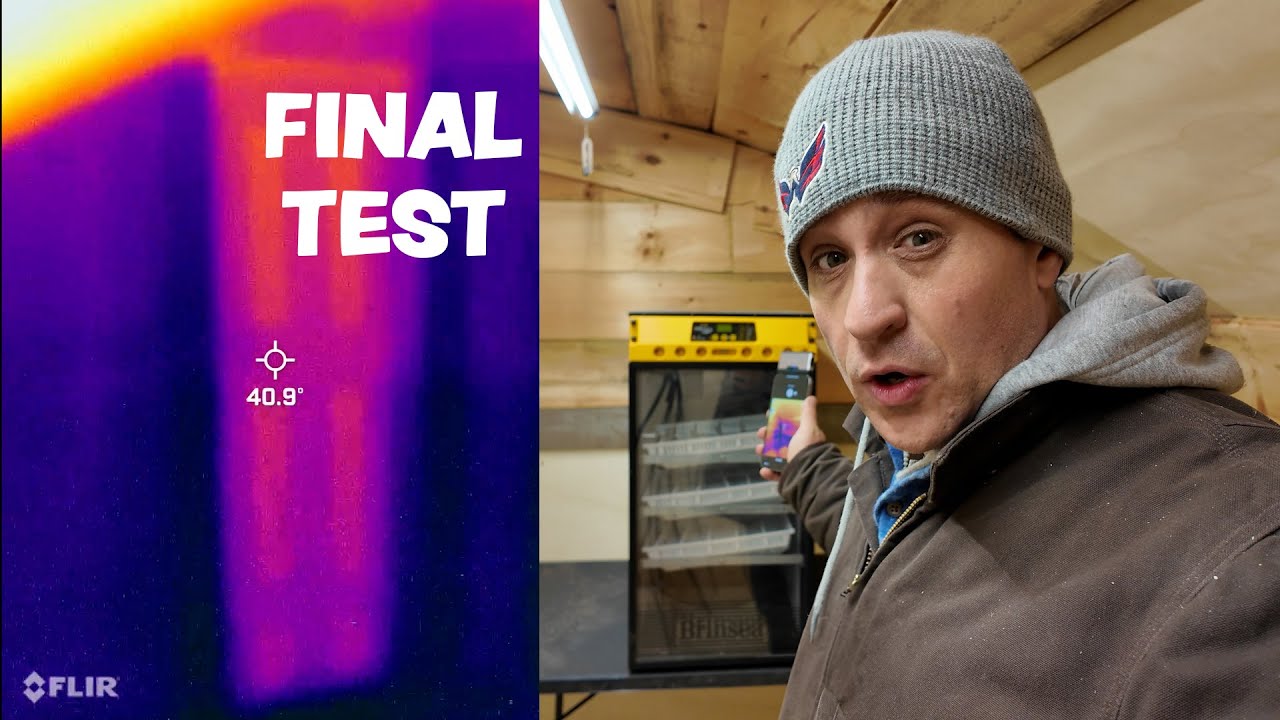 How Farmers Build Bird Hatcheries Against All Odds