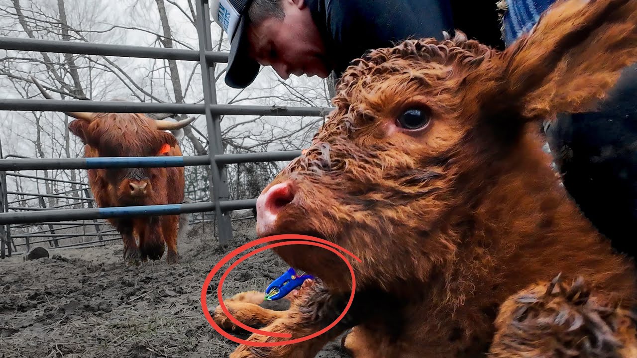 The Not-So-Fun Side of Farming Everyone Should Know About