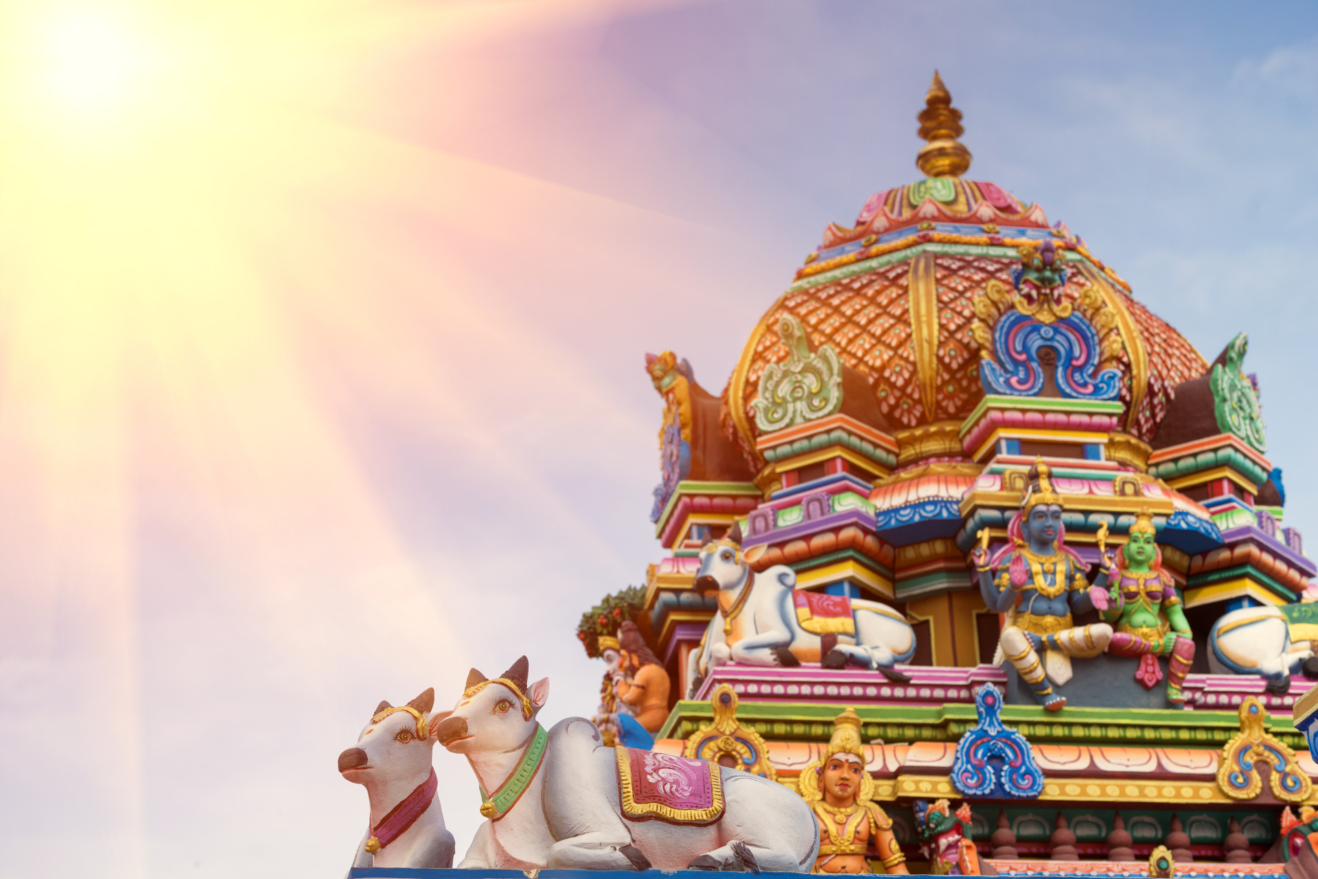 Discover the rich culture and ancient traditions of India