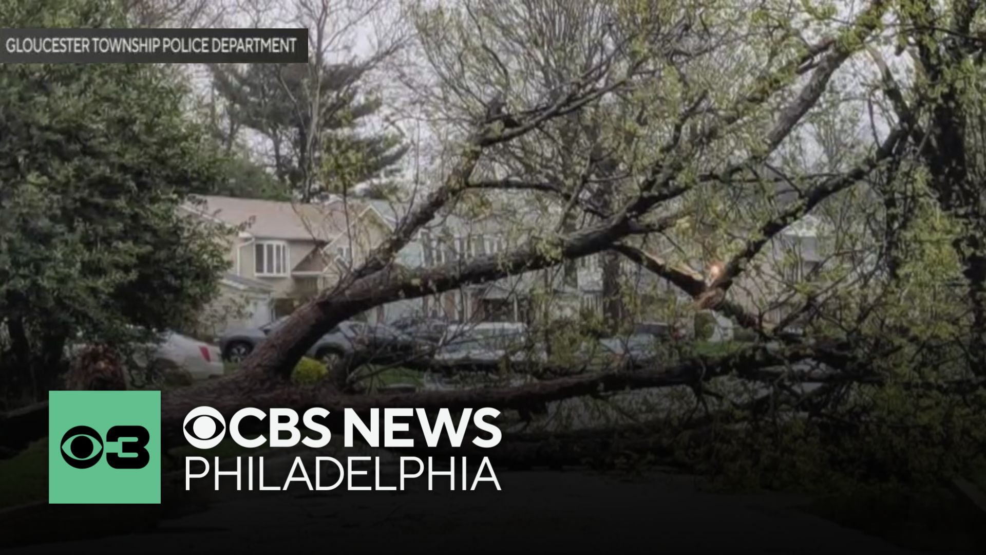 Storms with heavy and wind topple trees, close schools around New ...