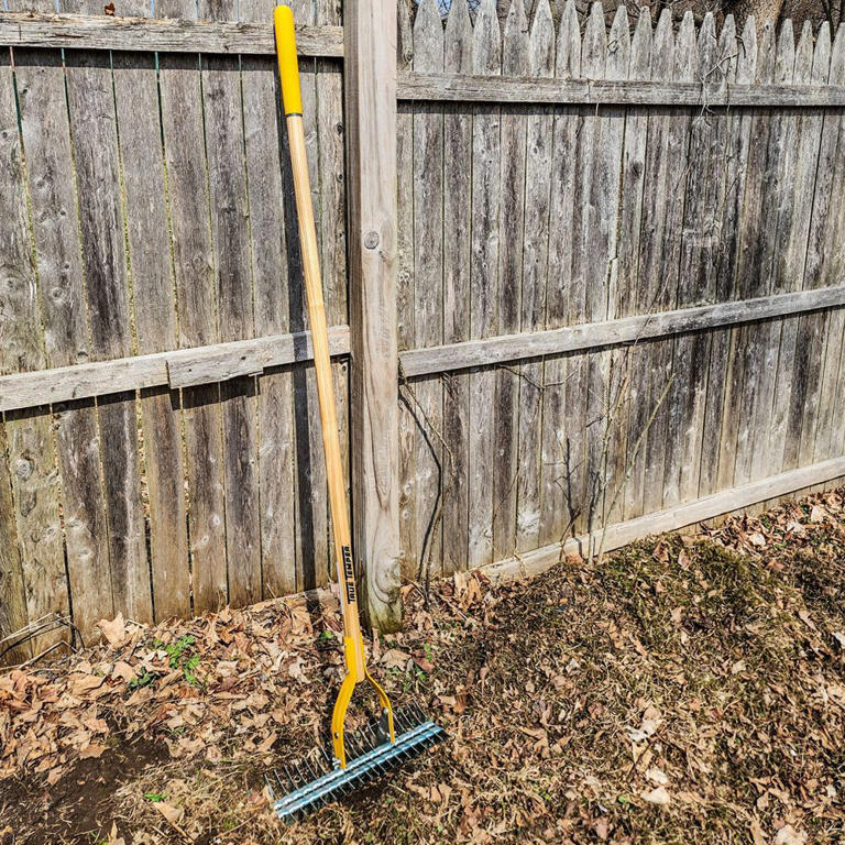 No more excuses: Our favorite dethatchers are easy to use and keep your ...