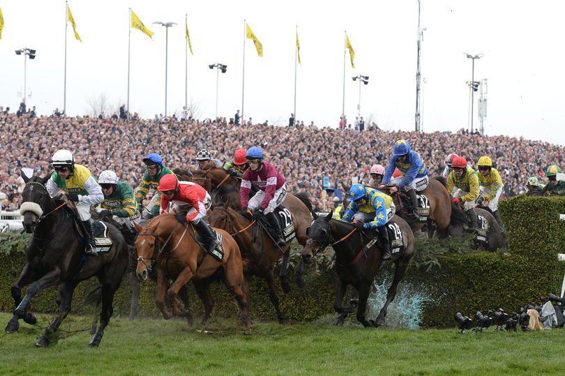 Grand National 2025 tips as Garry Owen eyes Intense Raffles for Aintree ...
