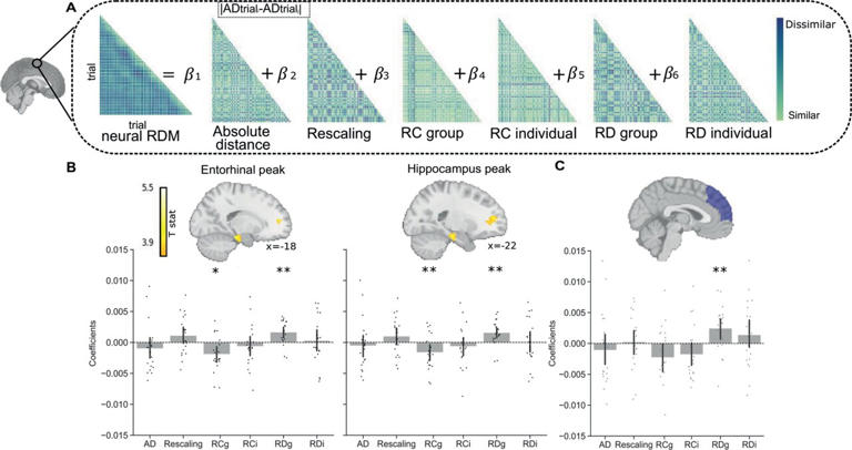 How the brain uses context boundaries to guide decision-making in both spatial and abstract ...